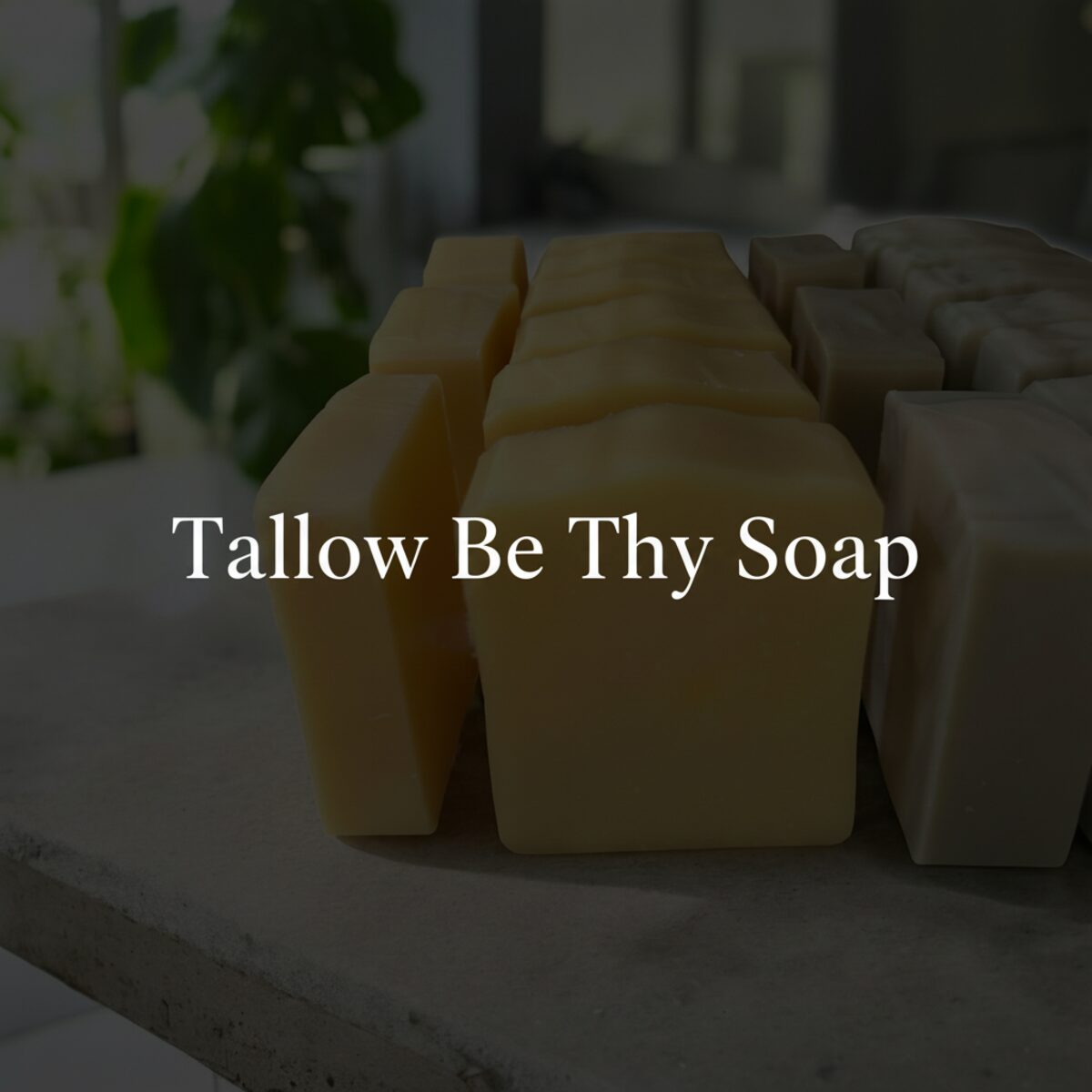 Handmade Tallow Soap | Tallow Be Thy Soap
